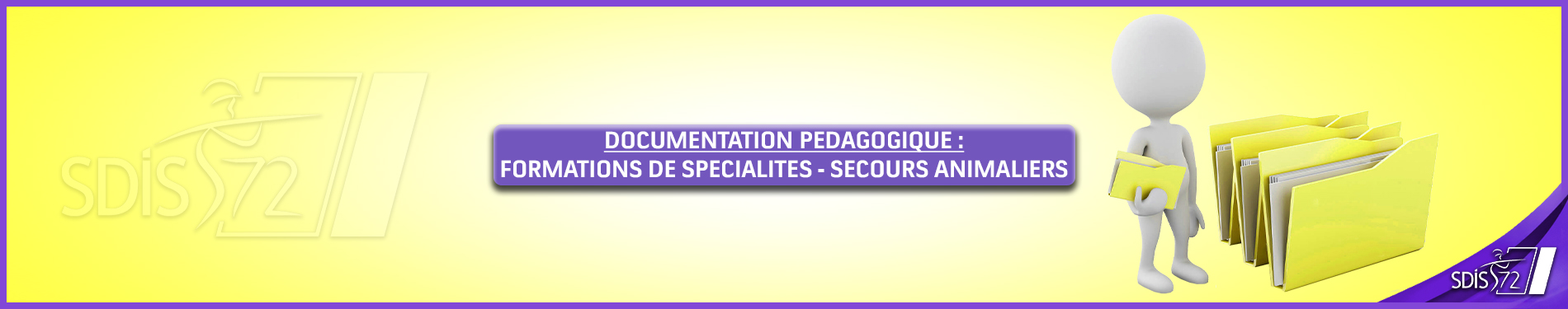 SIS 72 DP SPECIA ANIM | Accueil